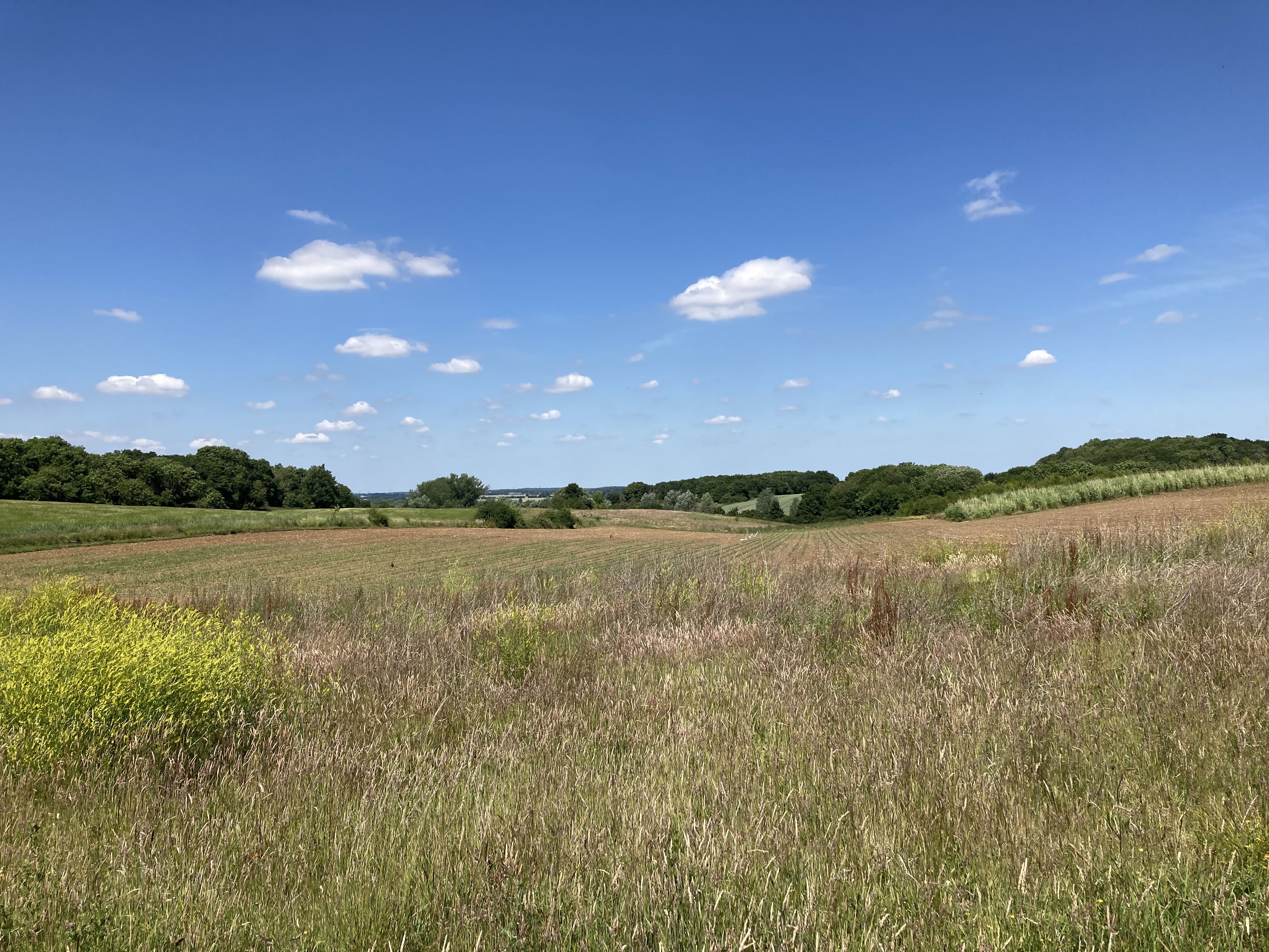 Braxted Park Estate, Great Braxted, Witham CM8 3EM