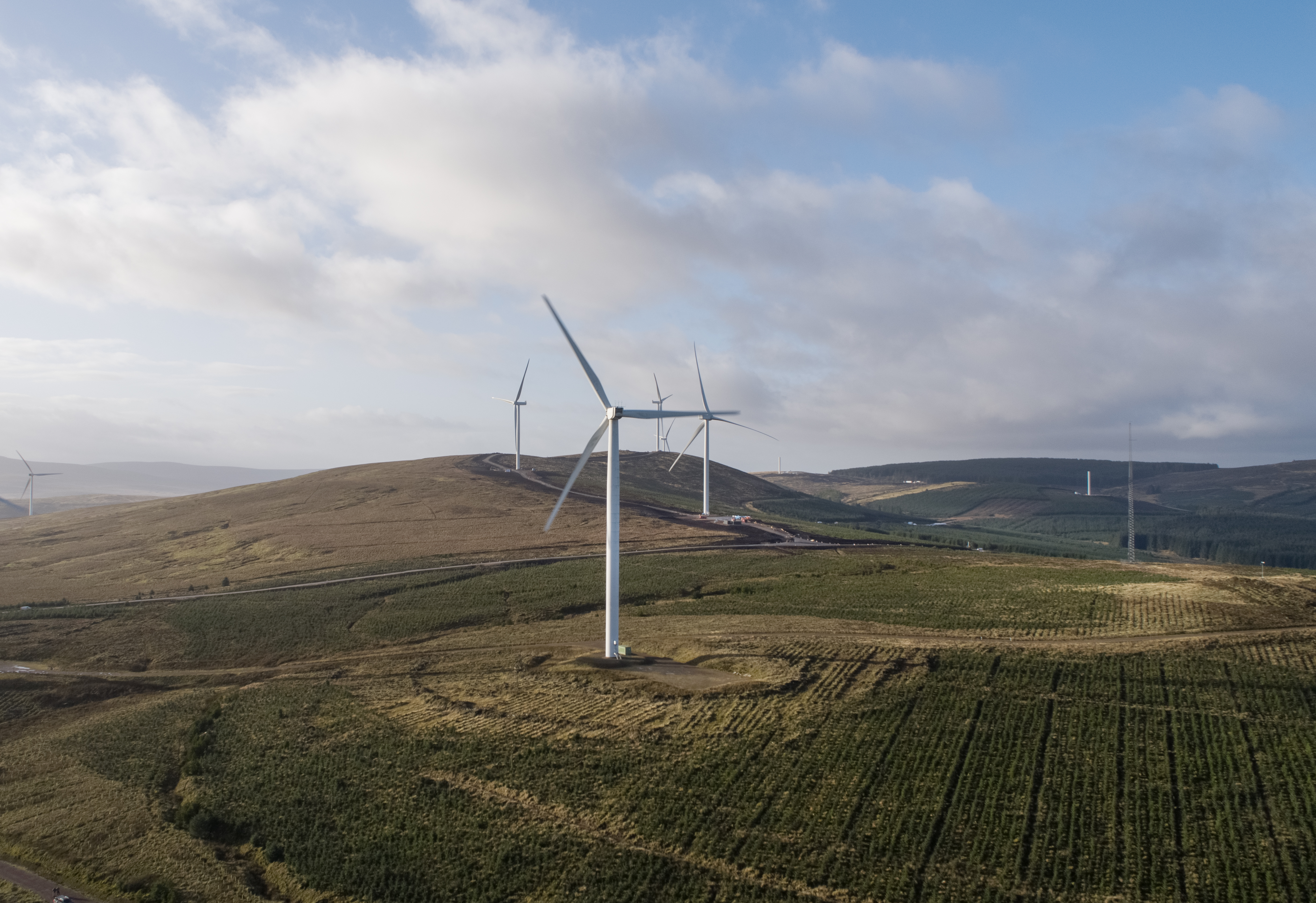 Cumberhead Forest Wind Farm