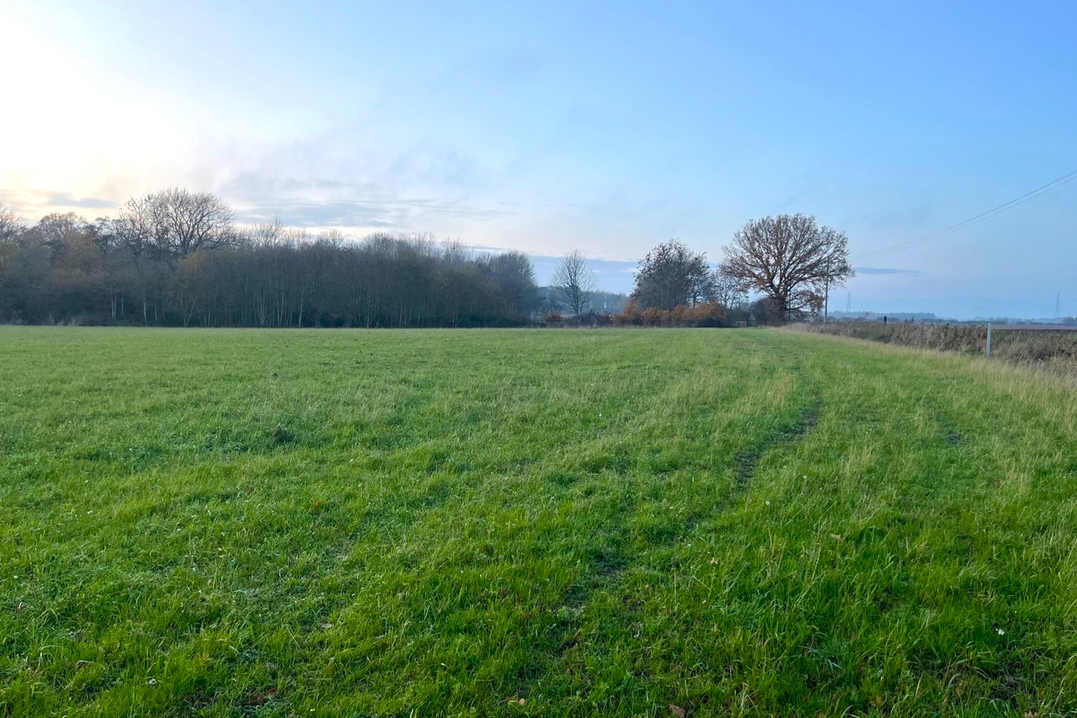 Ings Lane, Carlton, North Yorkshire, DN14 9NH