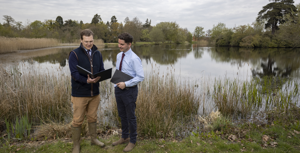 Biodiversity Net Gain BNG | Energy & Climate Services | Bidwells