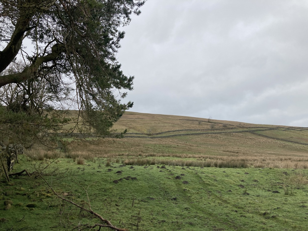 Billingshield Farms, Stanhope, Bishop Auckland, DL13