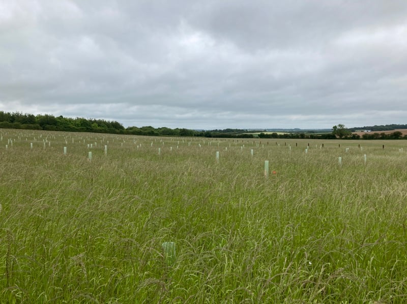 Lower Valley Farm, Fulbourn, Cambridge, CB21 5DA