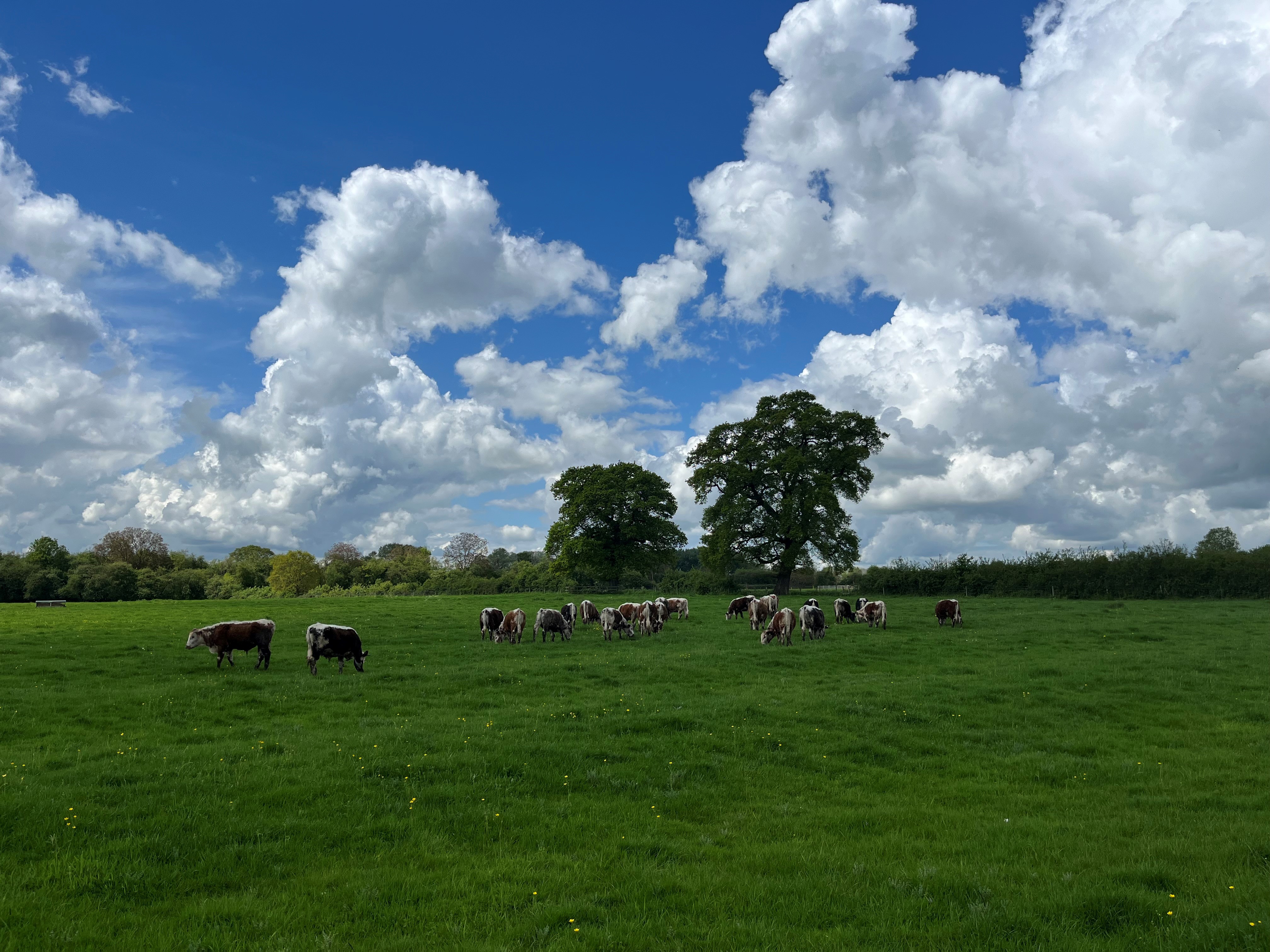 Manor Farm, Chearsley, Aylesbury HP18 0DL