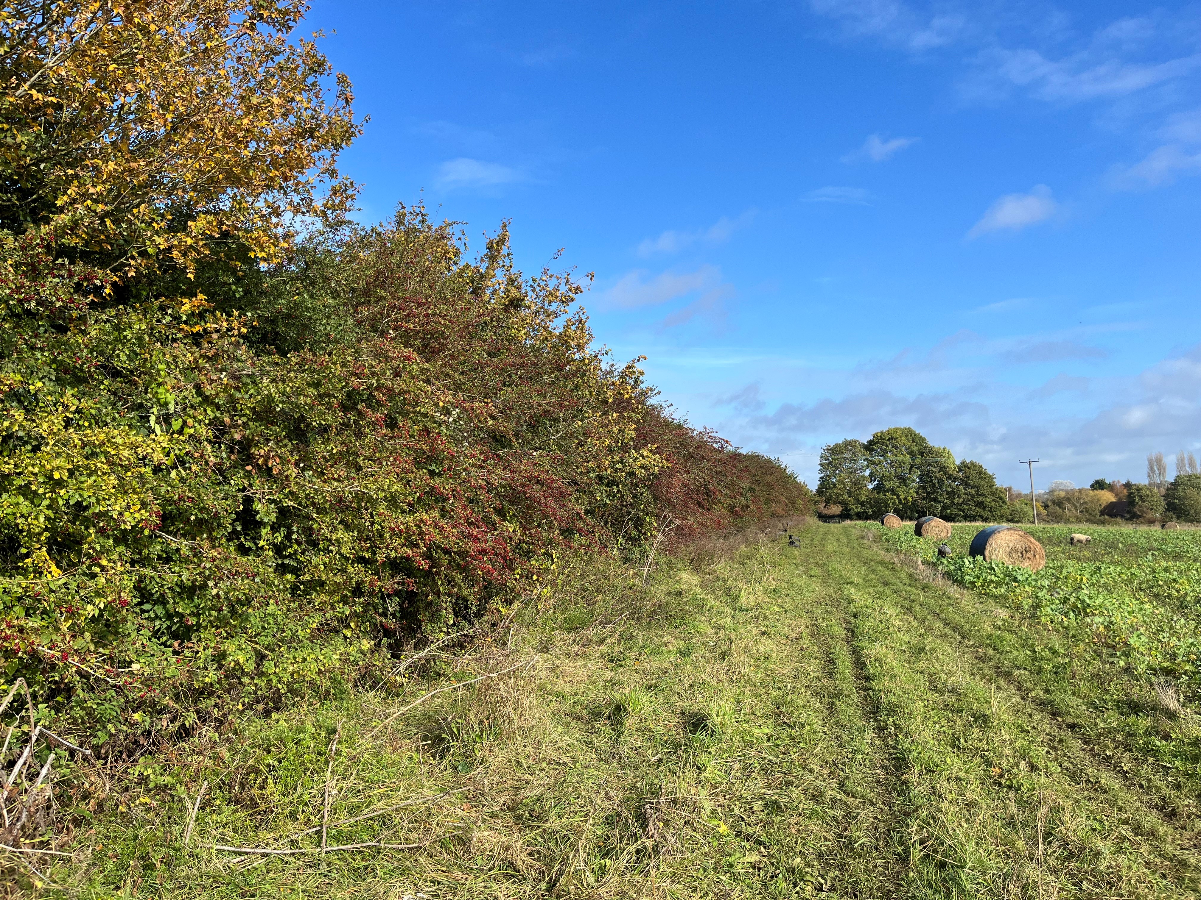 Manor Farm, Crendon Road, Chearsley, Aylesbury HP18 0DL