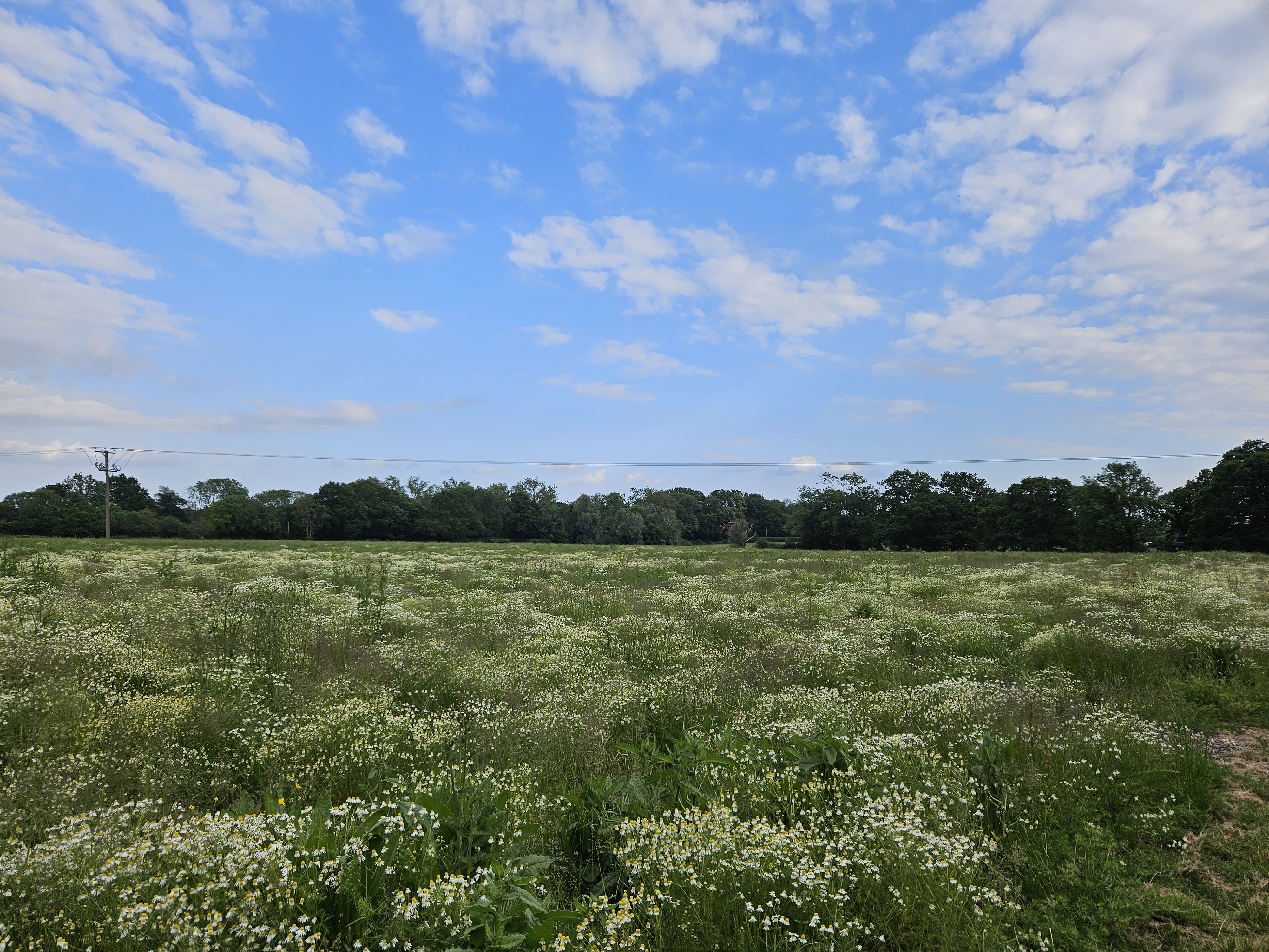 Romden Fields, Smarden, Ashford TN27 8RA