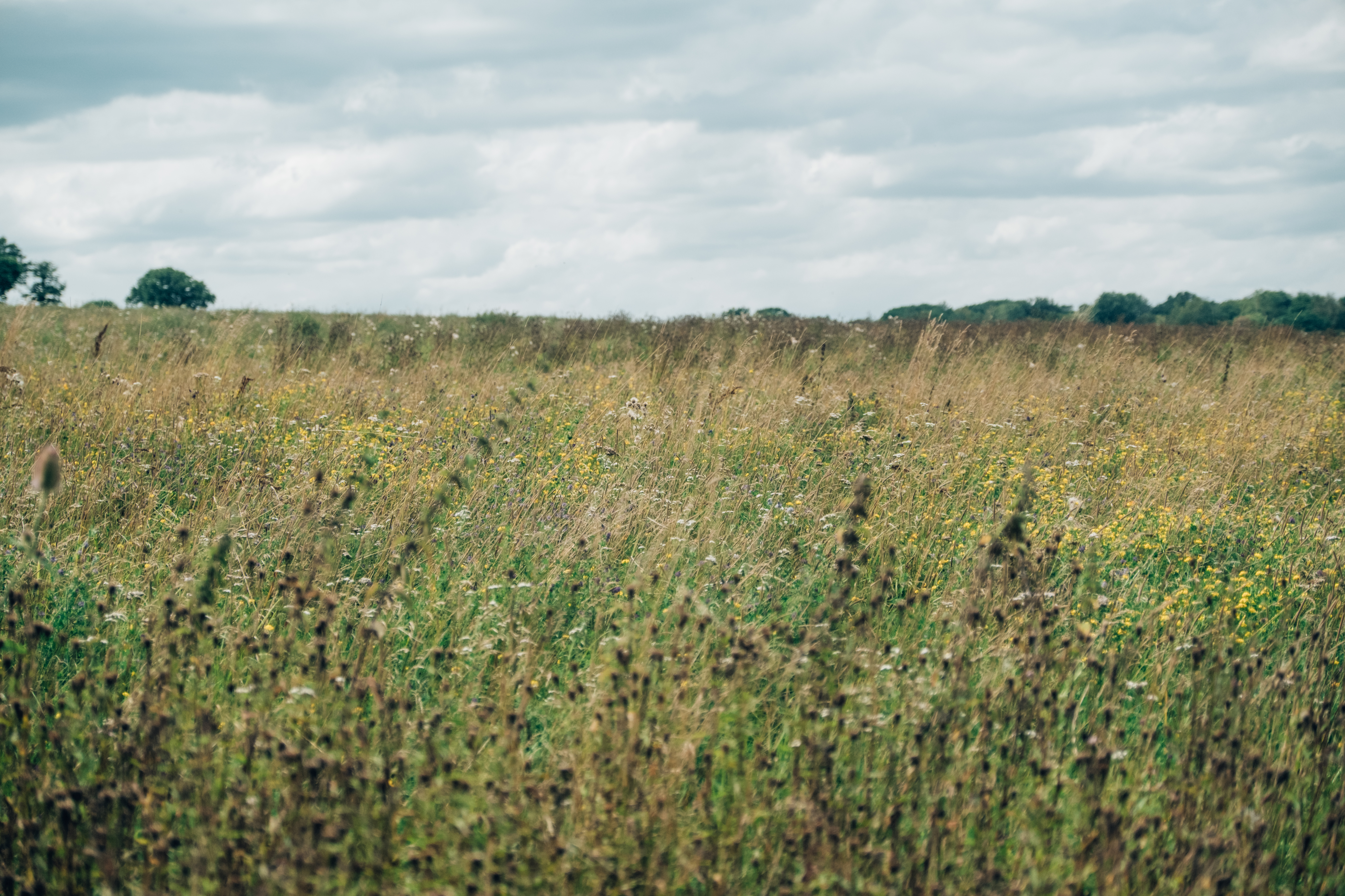 Manor Farm, Shropham, Attleborough, NR17 1DY