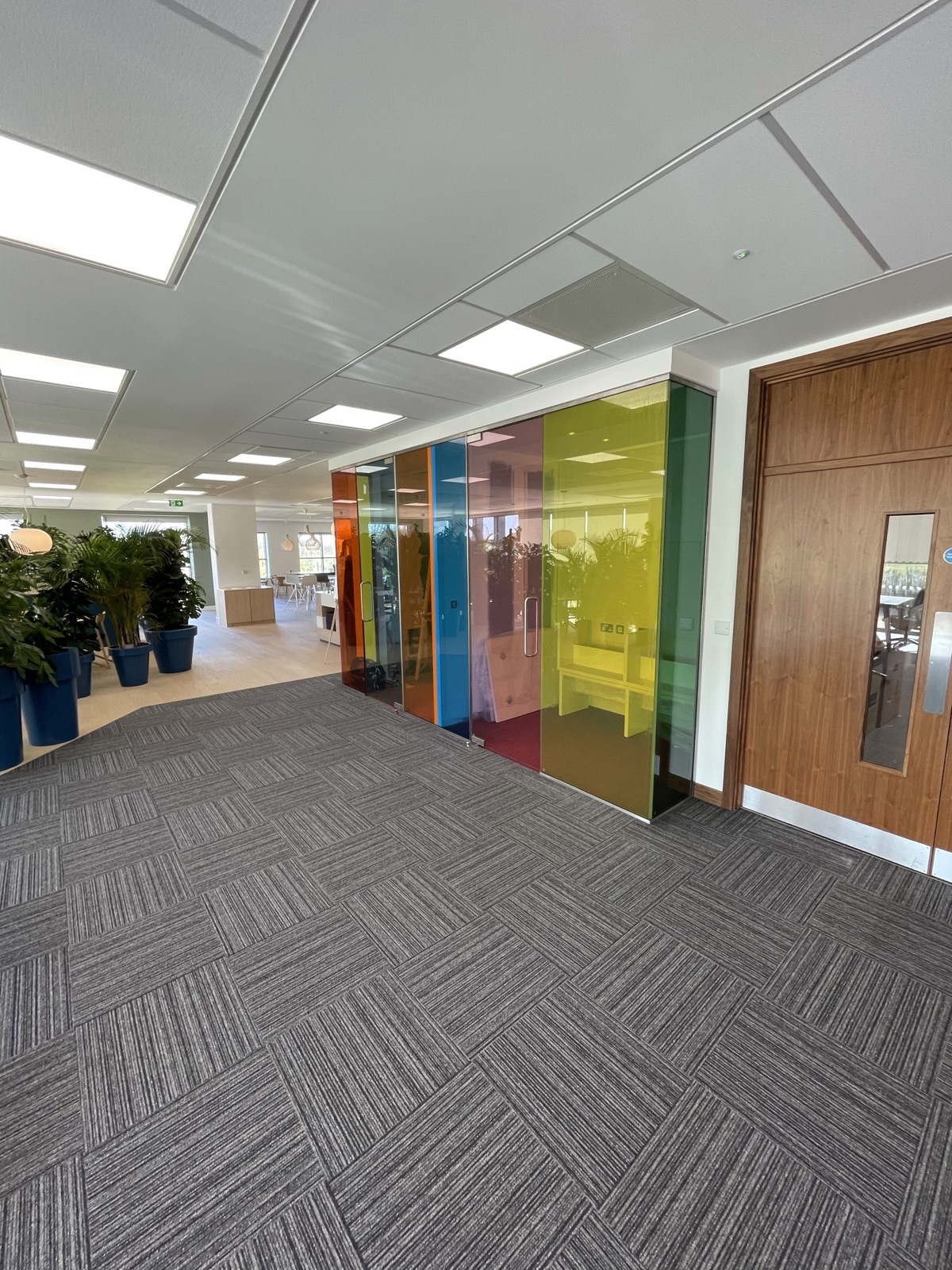 BitBio - Building B950