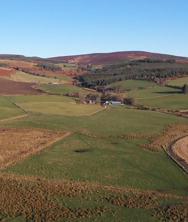 Property & land search