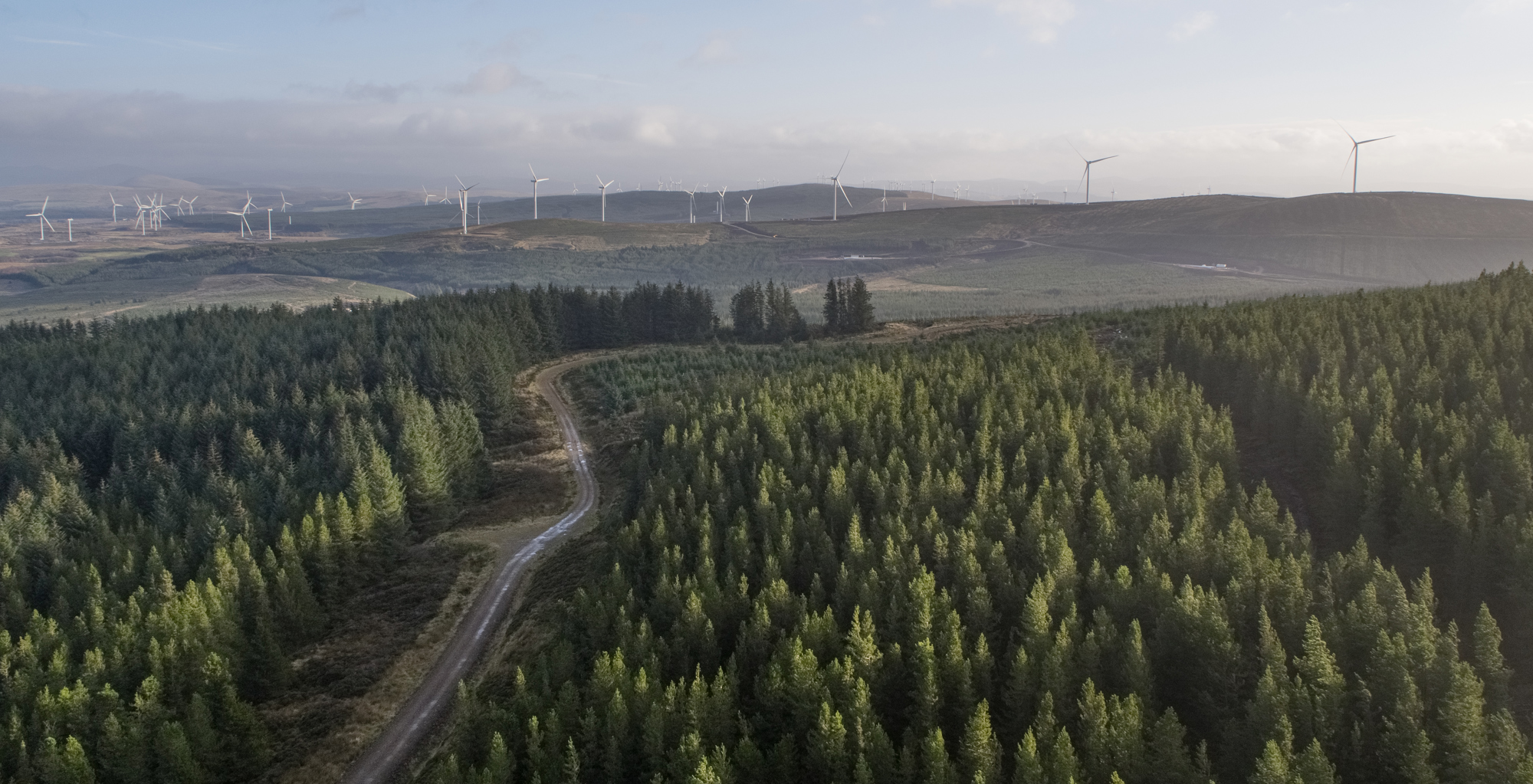 Renewables Case Study Showcase