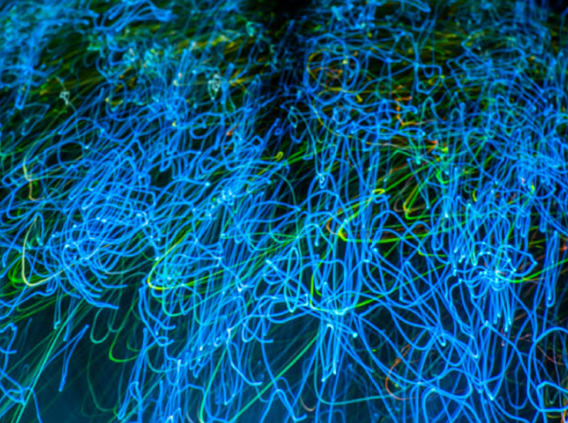 Commercialising Science | The Productivity Engine | Bidwells