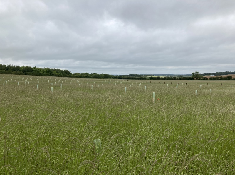 Lower Valley Farm - BNG