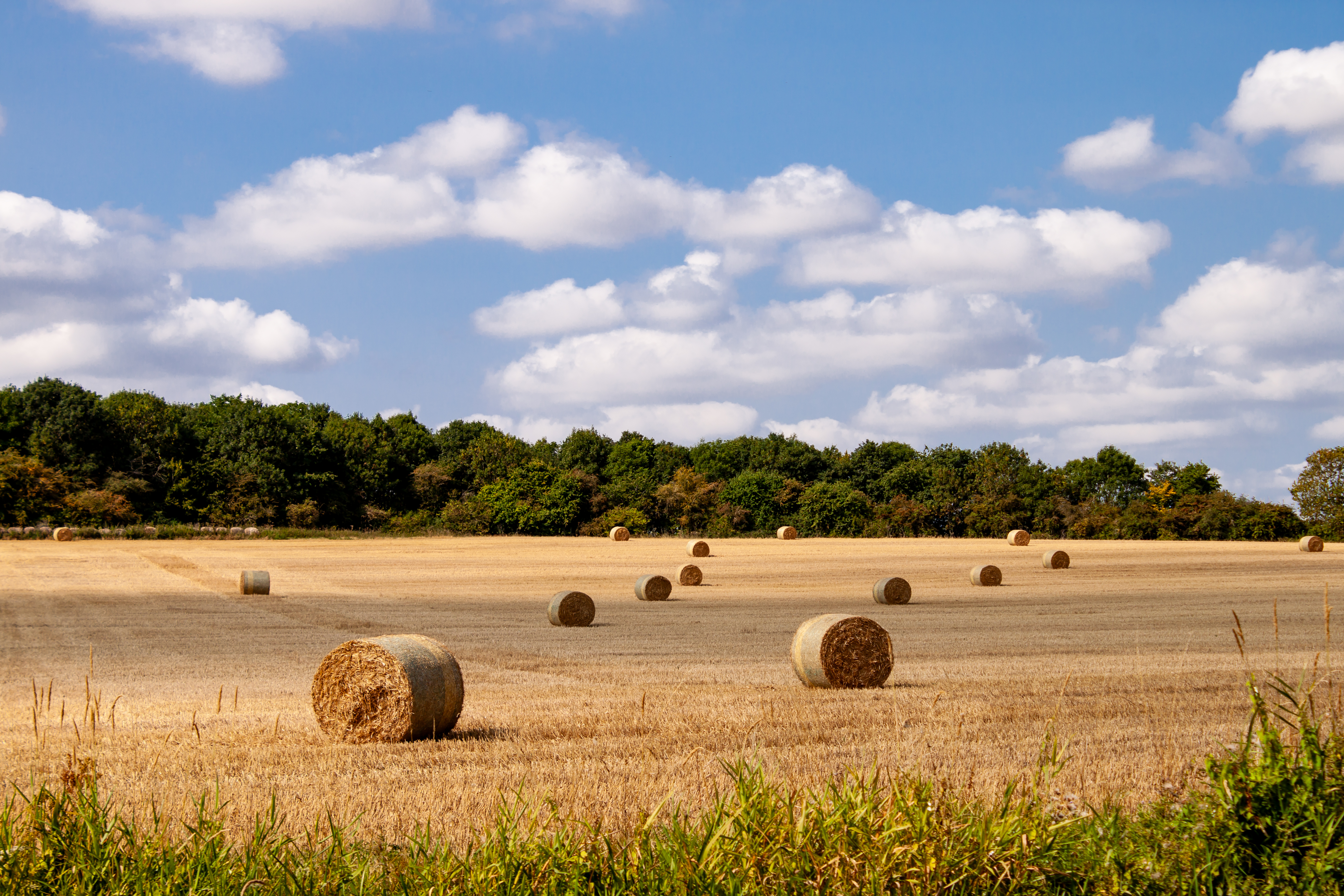 Farmland Sales in 2026: How to Achieve the Best Outcome | Rural Outlook ...