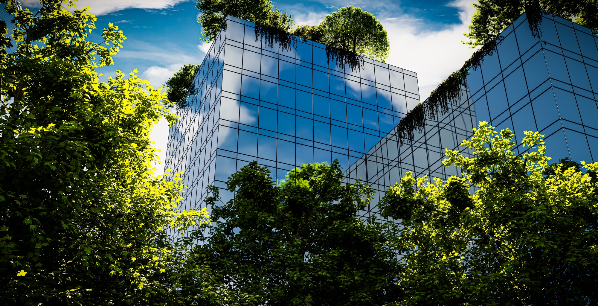 Sustainable Buildings & Places | Built Environment | Bidwells